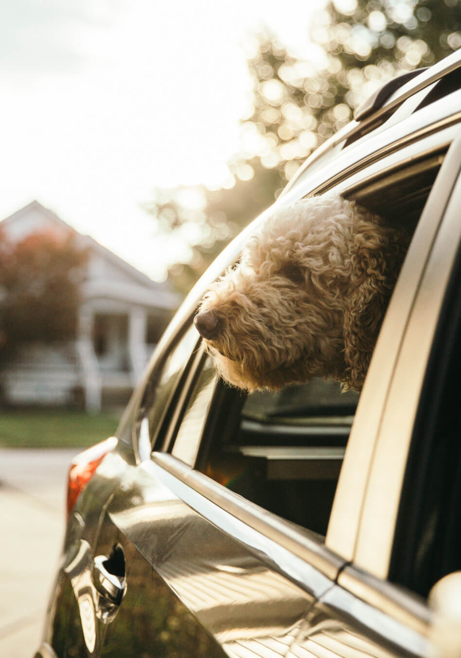 Car Insurance: Get a Free Auto Insurance Quote | Progressive