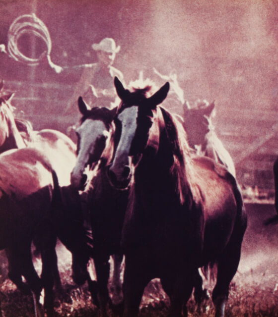 Art Collection Highlights | Progressive