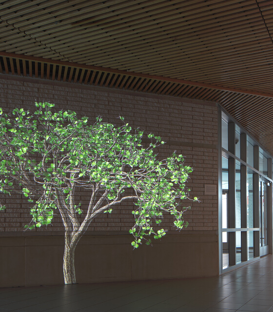 Art Installations | Progressive