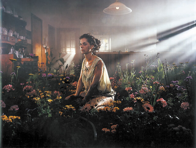 Art Collection Highlights | Progressive