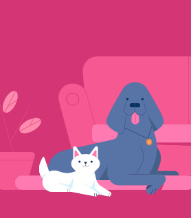 Pet Insurance: Free Pet Health Insurance Quotes | Progressive