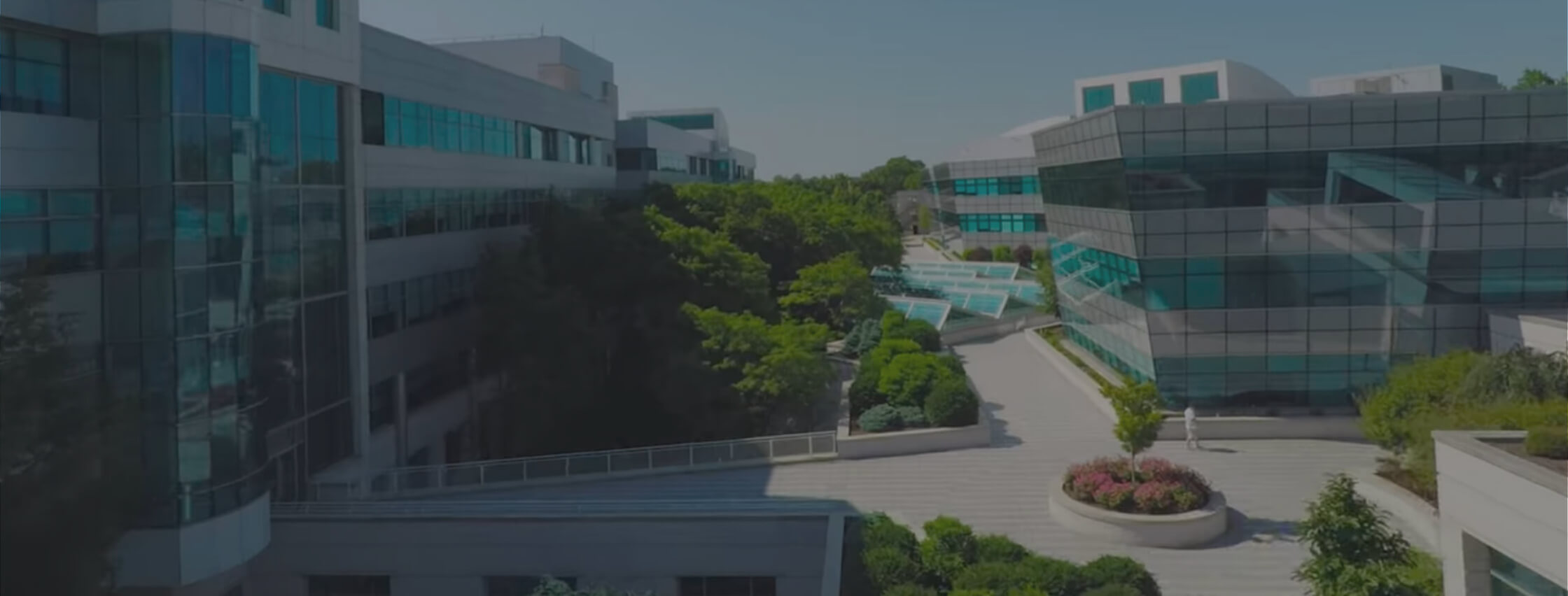 Progressive Insurance Culture | Progressive Careers